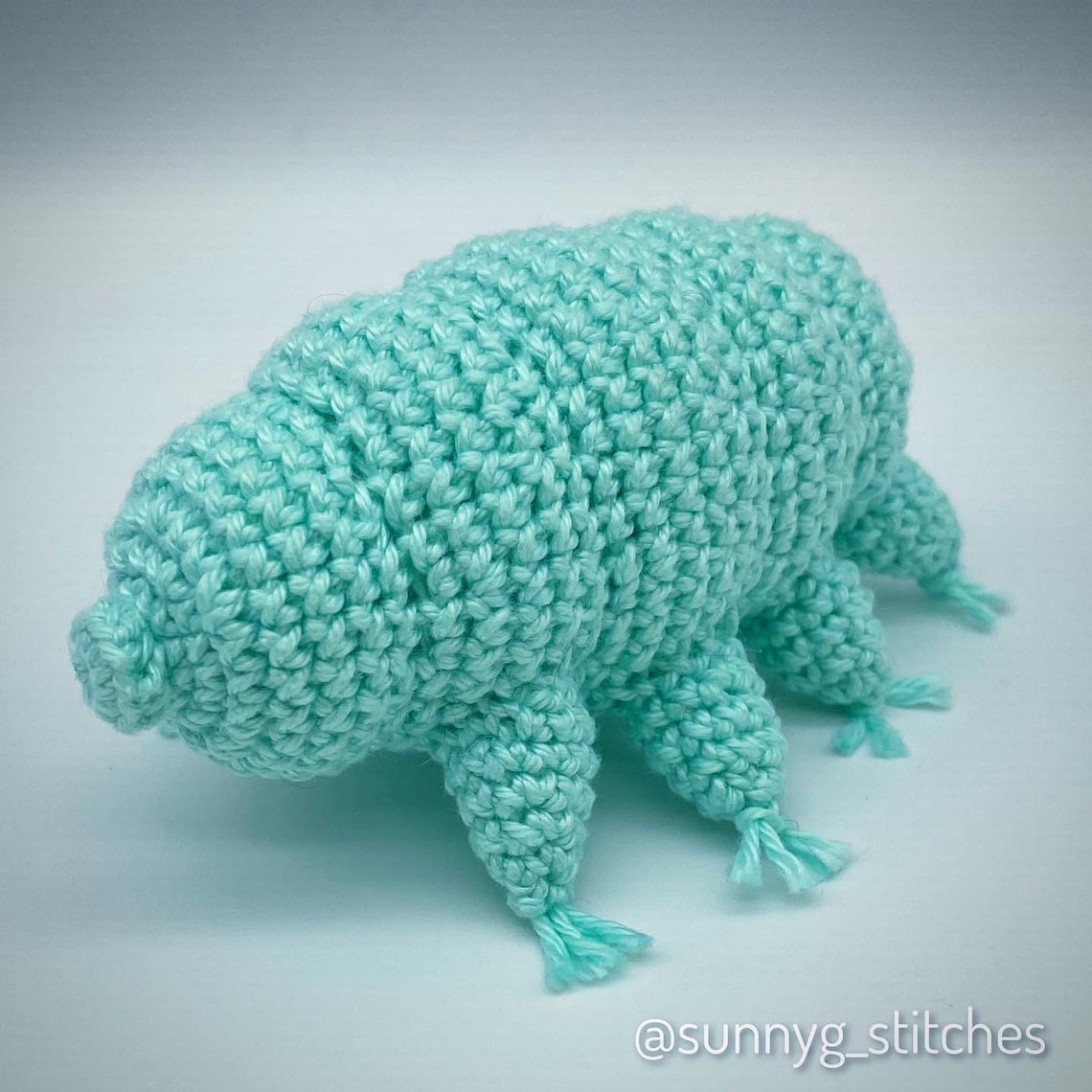 Tardigrade Amigurumi Crochet Pattern PDF English | Etsy UK