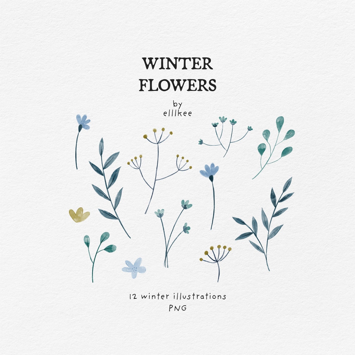 Winter Flowers Clipart Winter Flowers and Leaves - Etsy