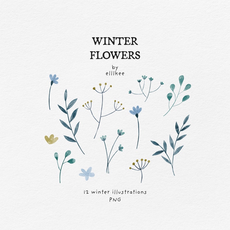 Winter Flowers Clipart Winter Flowers and Leaves - Etsy