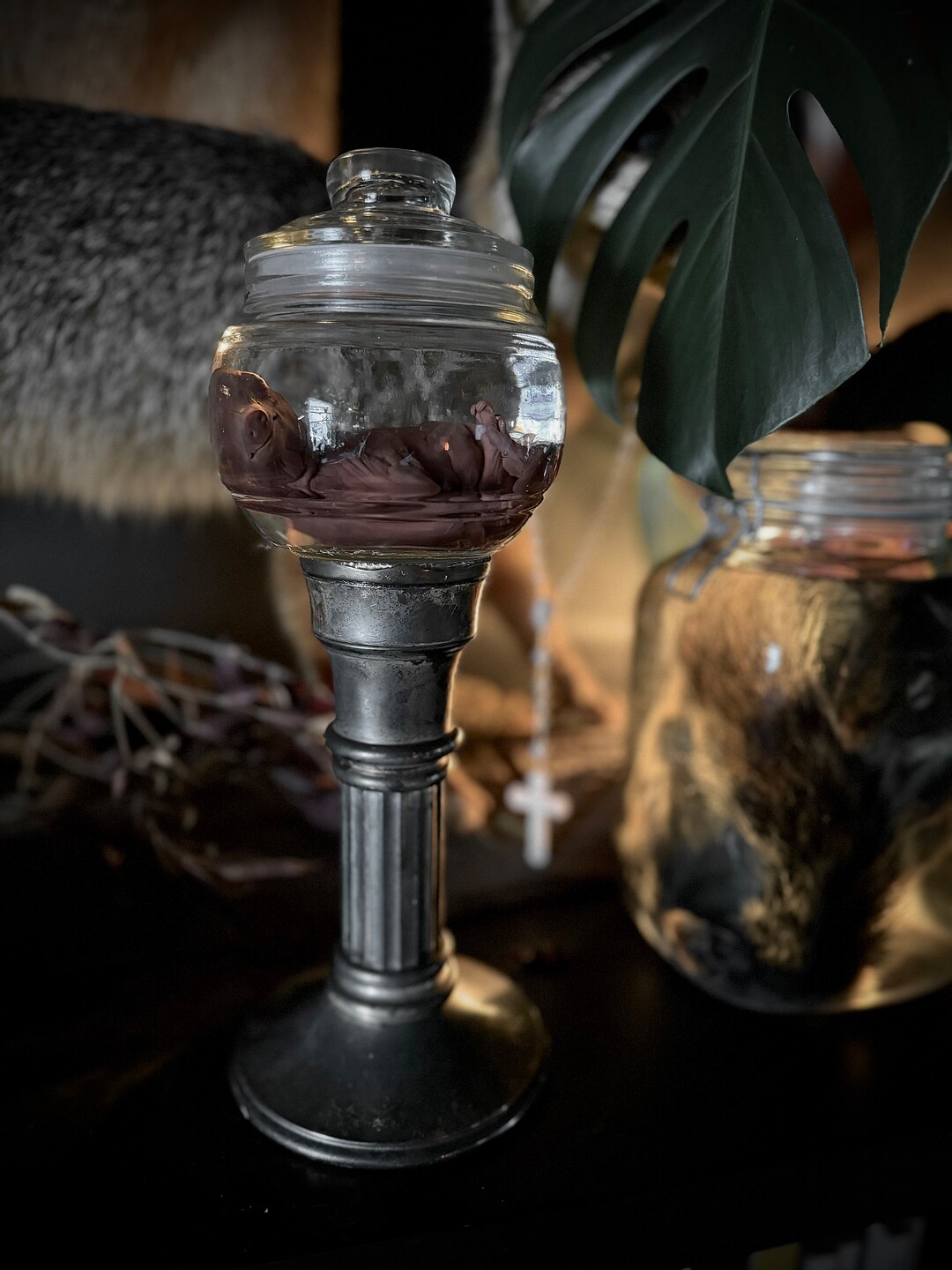 Wet Specimen Fetal Pig With Antique Jar & Stand - Etsy