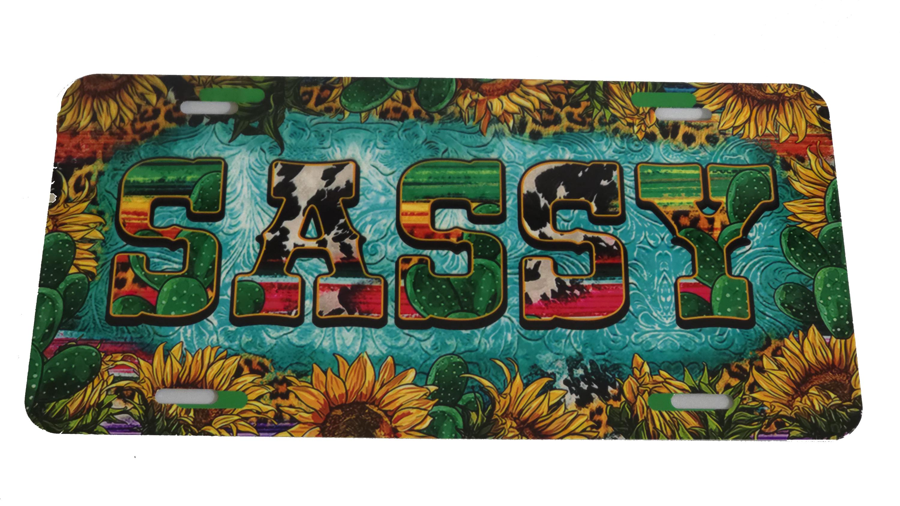 Car License Plate License Plate Funny License Front Car Tag Custom ...
