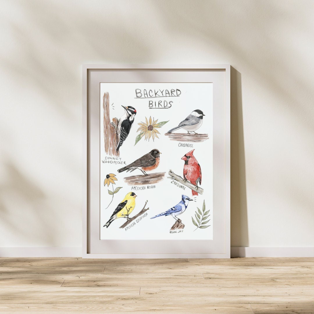 Massachusetts Backyard Birds Poster 8x10 Nature Art Print - Etsy