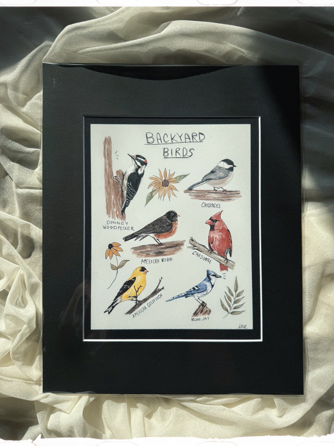 Massachusetts Backyard Birds Poster - 8x10 Nature Art Print - Etsy