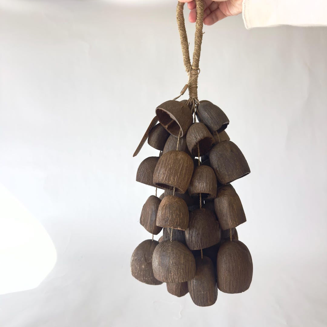 Salin Seed Pod Shaker – Natural Handheld Sound Meditation Tool - Etsy
