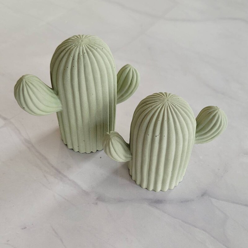 Cactus Ring Holder - Etsy
