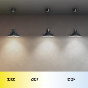 Walnut Wood Linear Pendant Light , Curved Edge Minimalist Modern Wood ...