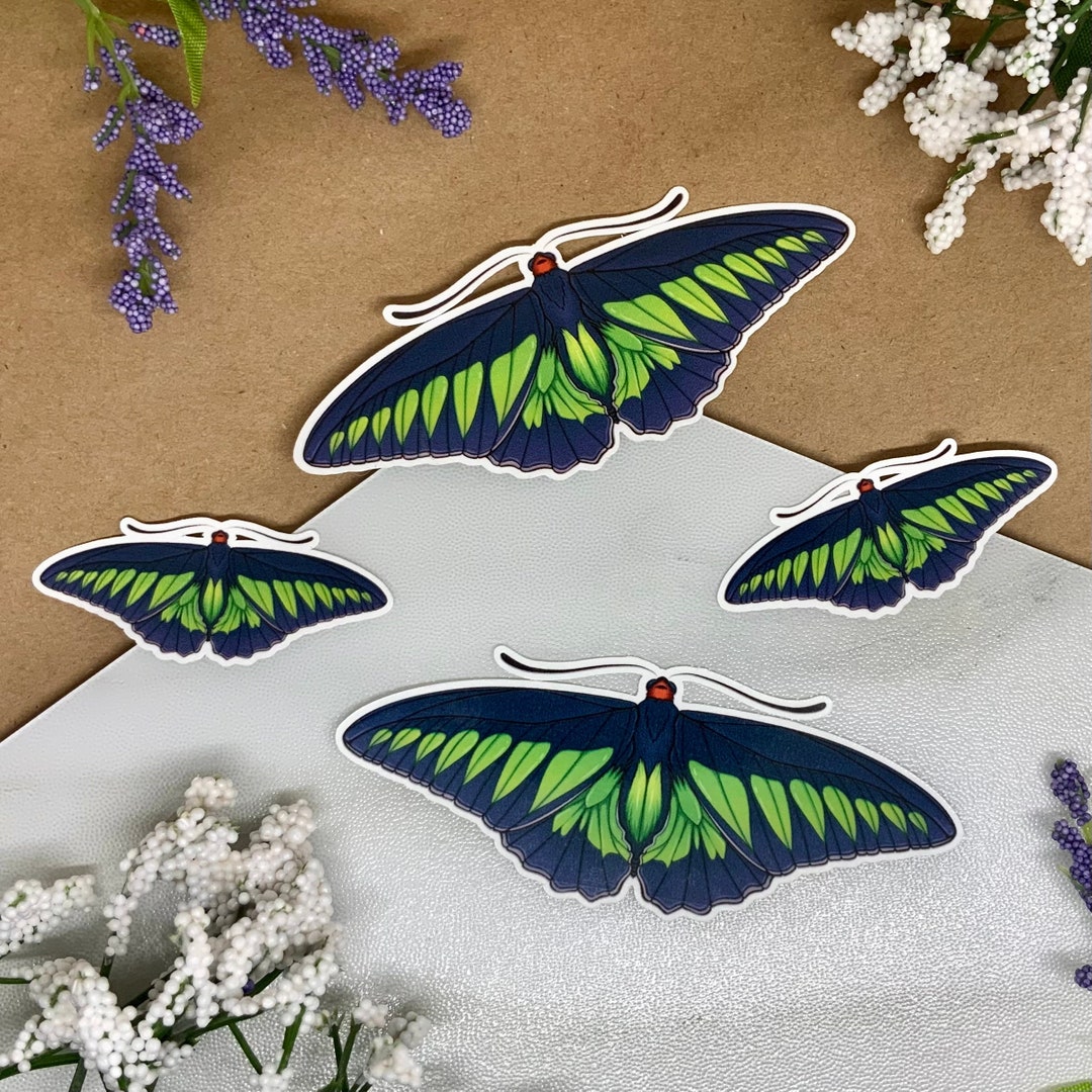 Rajah Brooke's Birdwing Stickers - Etsy