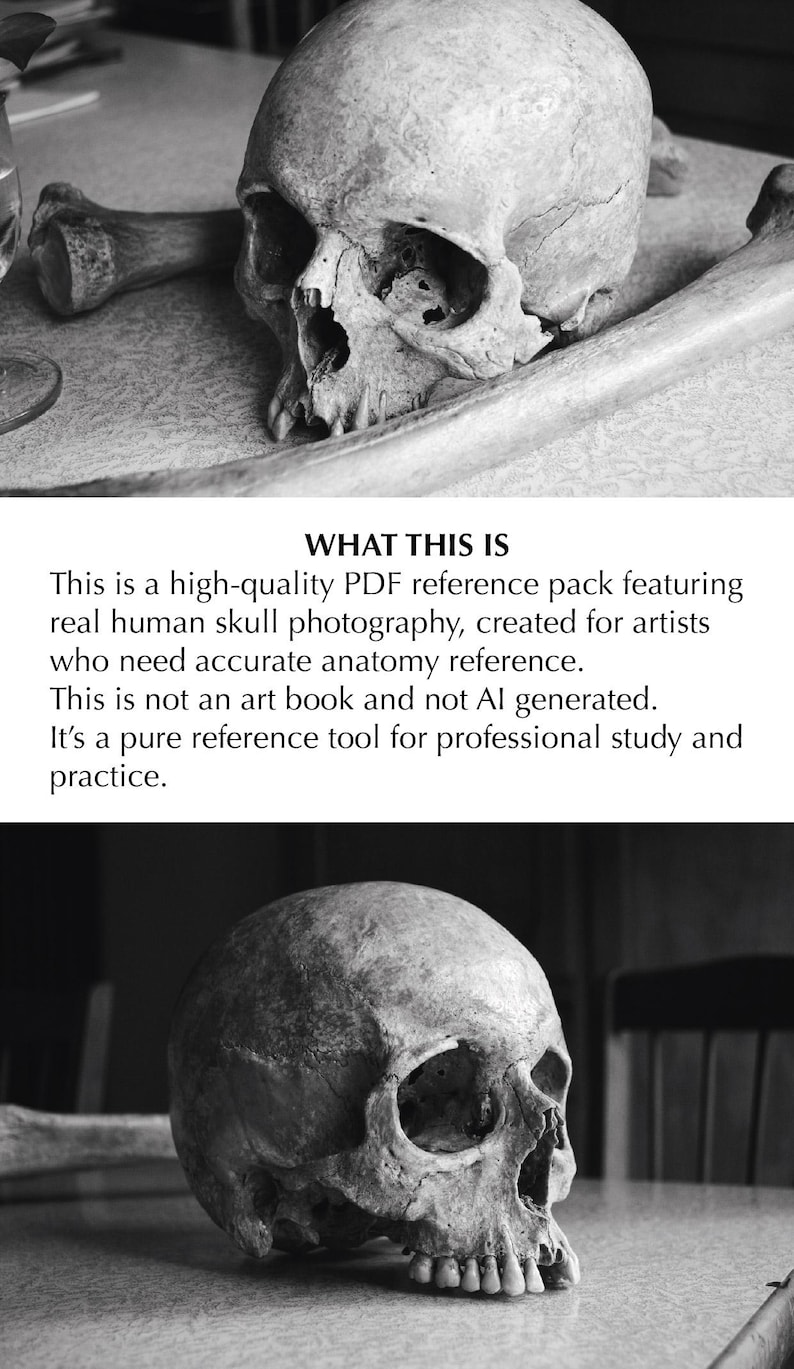 Skull Reference Pack | Real Human Skull Photos | Tattoo & Drawing ...