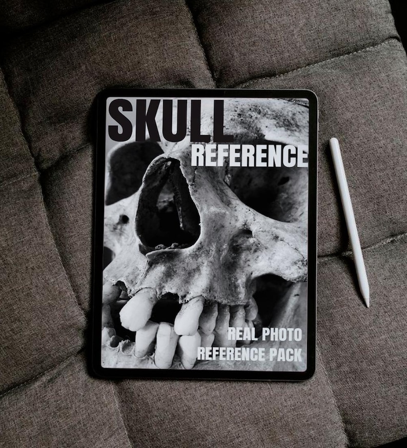 Skull Reference Pack | Real Human Skull Photos | Tattoo & Drawing ...