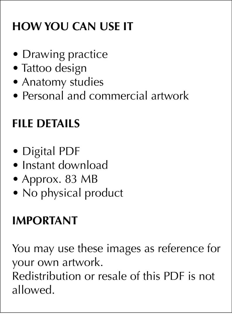 Skull Reference Pack | Real Human Skull Photos | Tattoo & Drawing ...