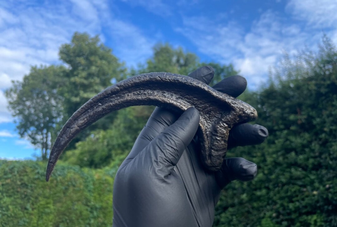 Kingdom Collection Realistic Velociraptor Claw - Etsy