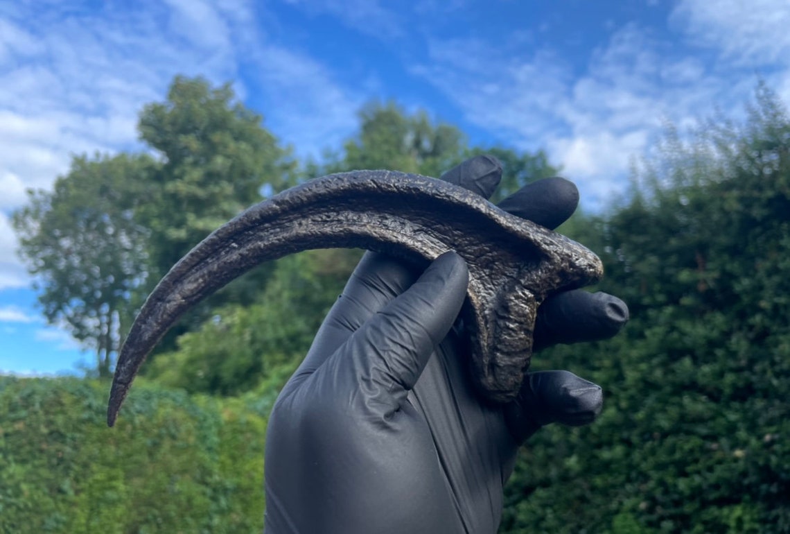 Kingdom Collection Realistic Utahraptor Claw - Etsy