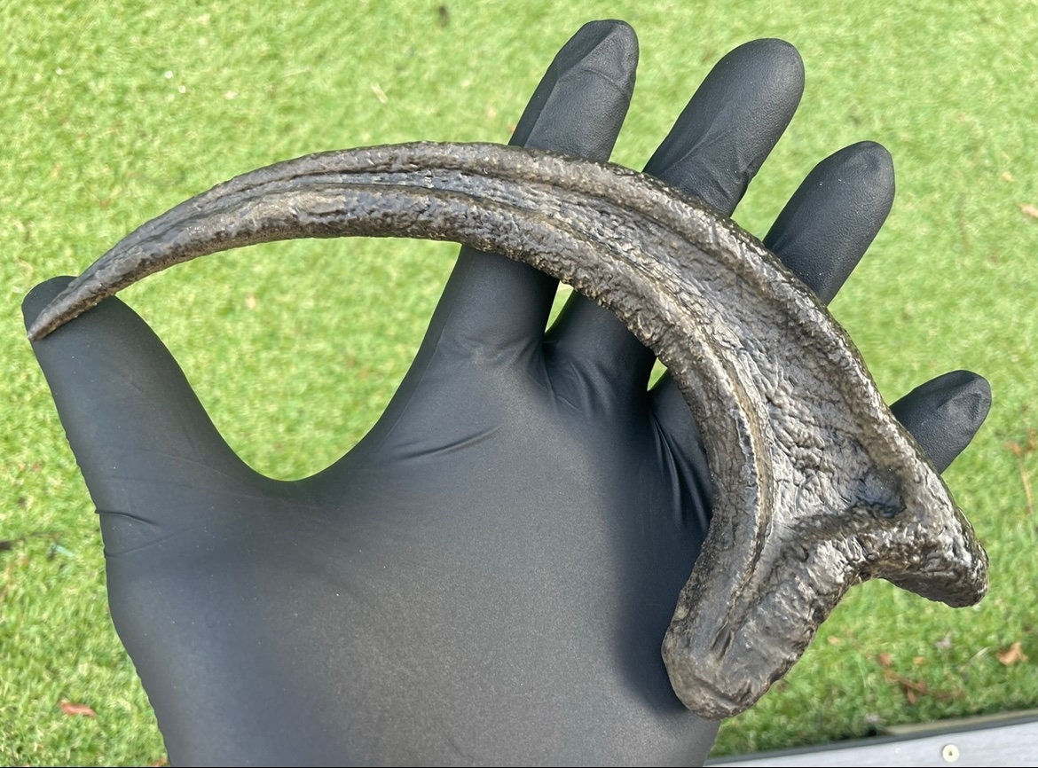 Utahraptor Claw