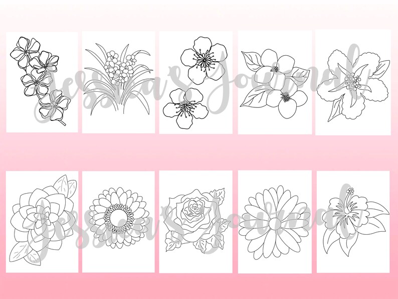 DIGITAL DOWNLOAD PDF Coloring Pages Bundle Full Sets - Etsy