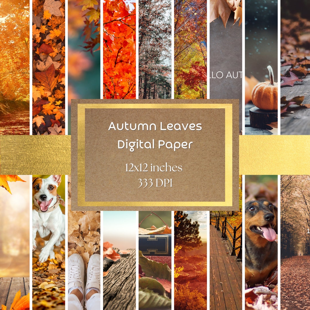 Autumn Leaves Digital Paper and Background - Fall Vibes, Leaves, Cute ...