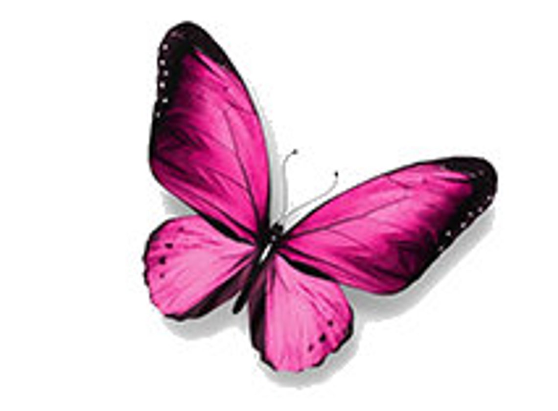 Pink Butterfly PNG File - Etsy