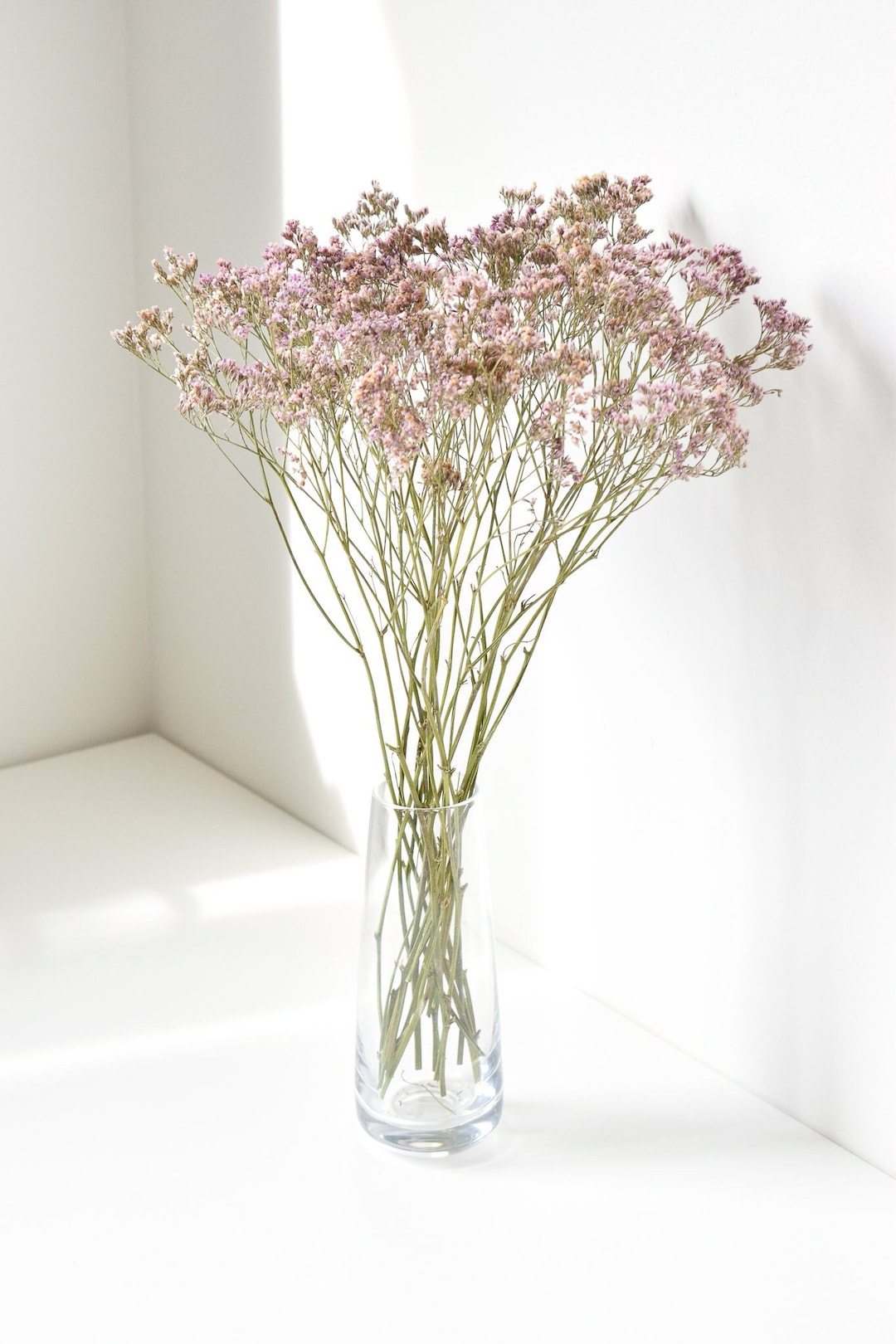 Pink Limonium Statice Sea Lavender Caspia Dried Flowers - Etsy