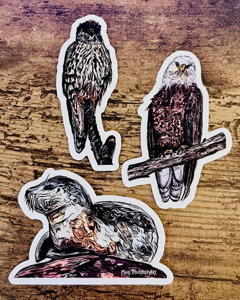 Exeter NH 3” Wildlife Sticker Set - Etsy