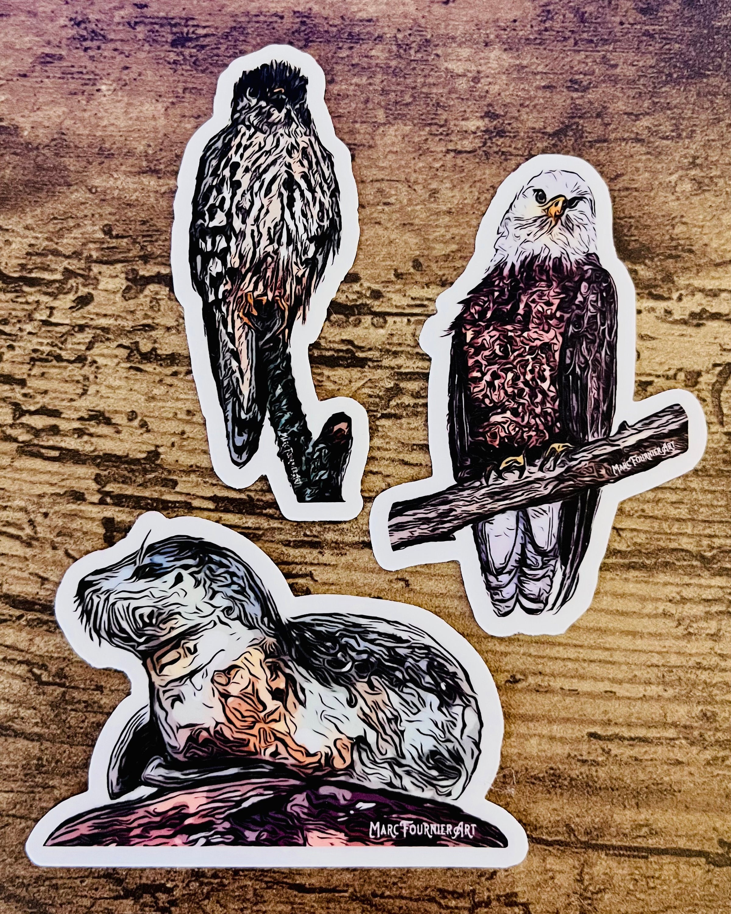 Exeter NH 3” Wildlife Sticker Set - Etsy