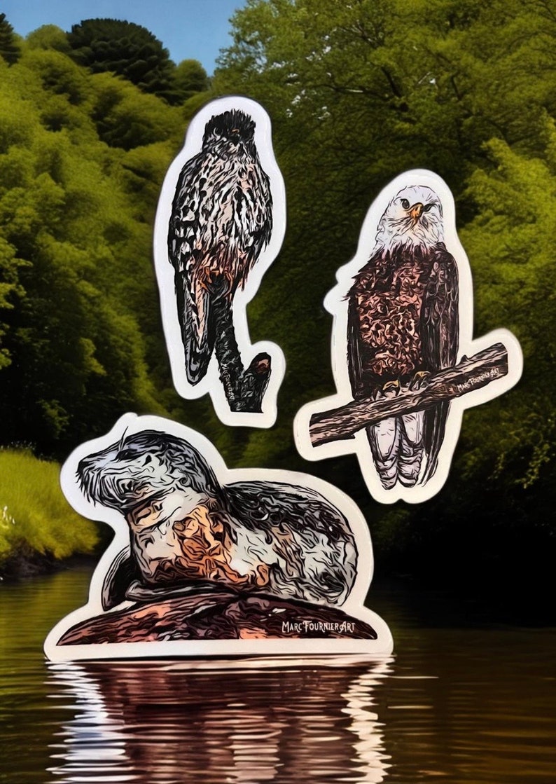 Exeter NH 3” Wildlife Sticker Set - Etsy
