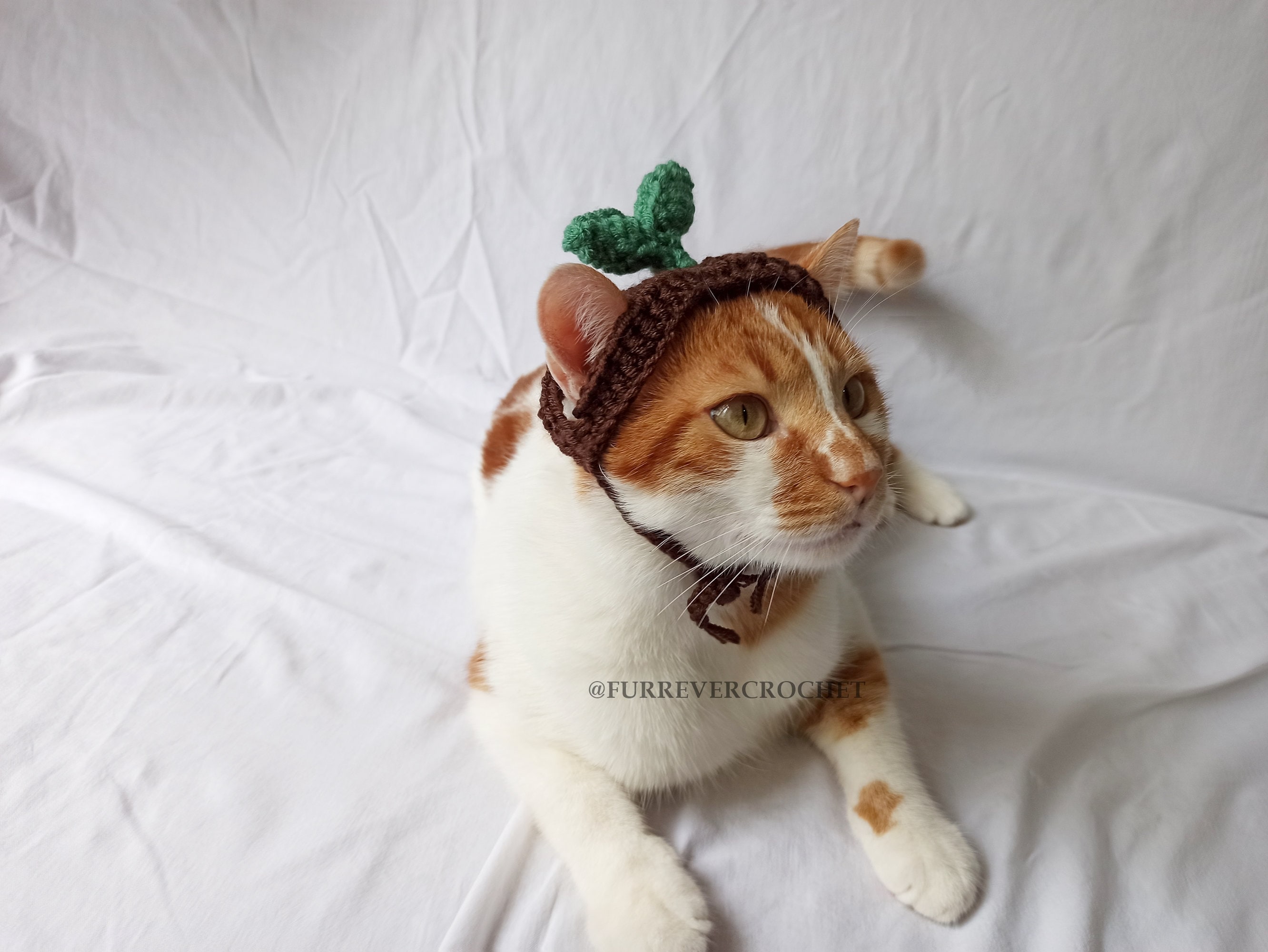 Sprout Bandana for Cats and Dogs, Plant Design Headband, Among Us ...