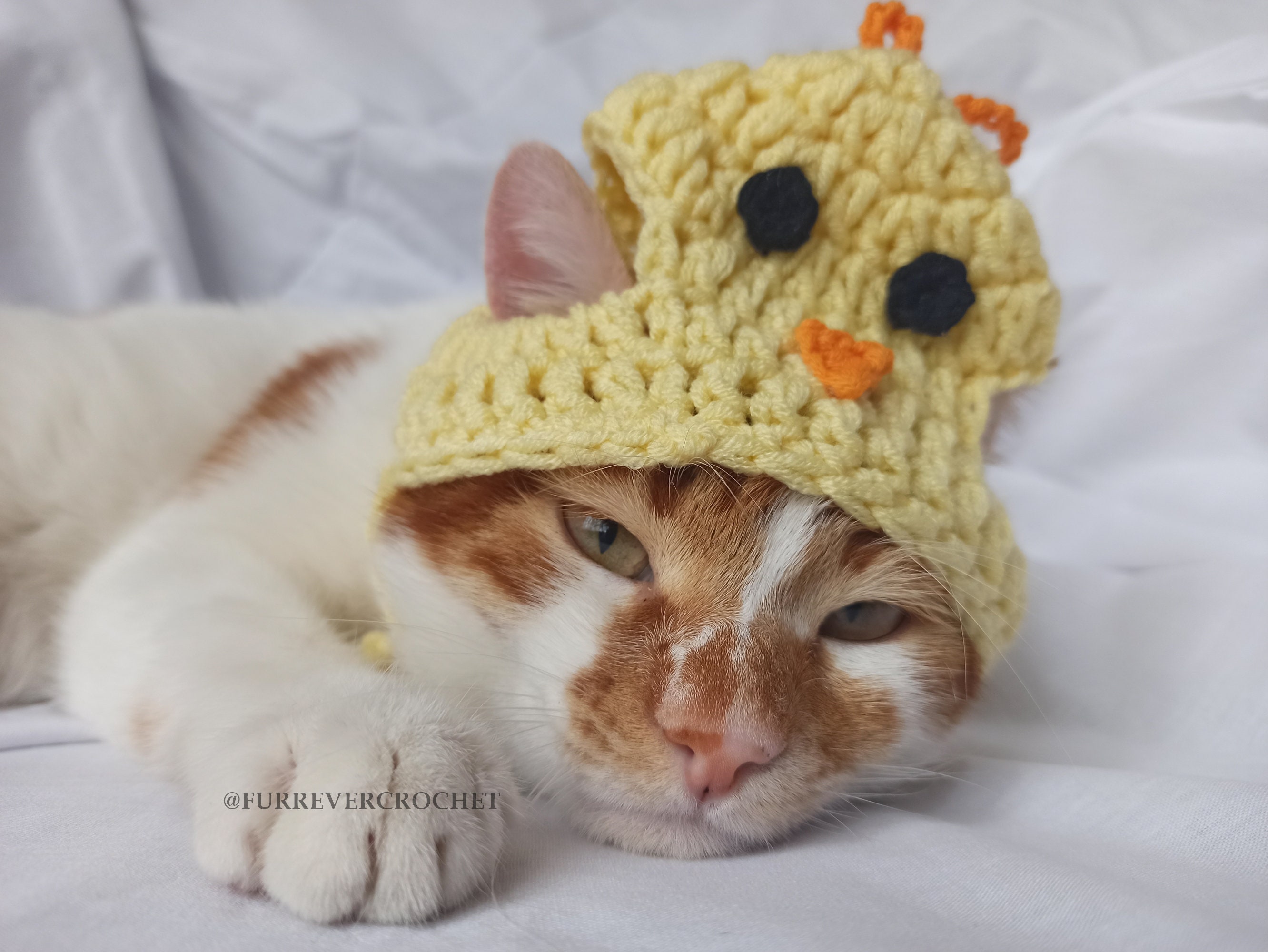 Chick Hat for Cats and Dogs With Ear Holes, Cute and Fun Pet ...