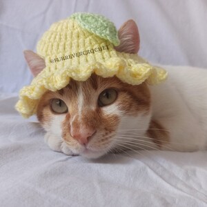 Lemon Cat and Dog Crochet Bucket Hat, With Green Leaf on Top, Cute Pet ...