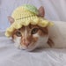 Lemon Cat and Dog Crochet Bucket Hat, With Green Leaf on Top, Cute Pet ...