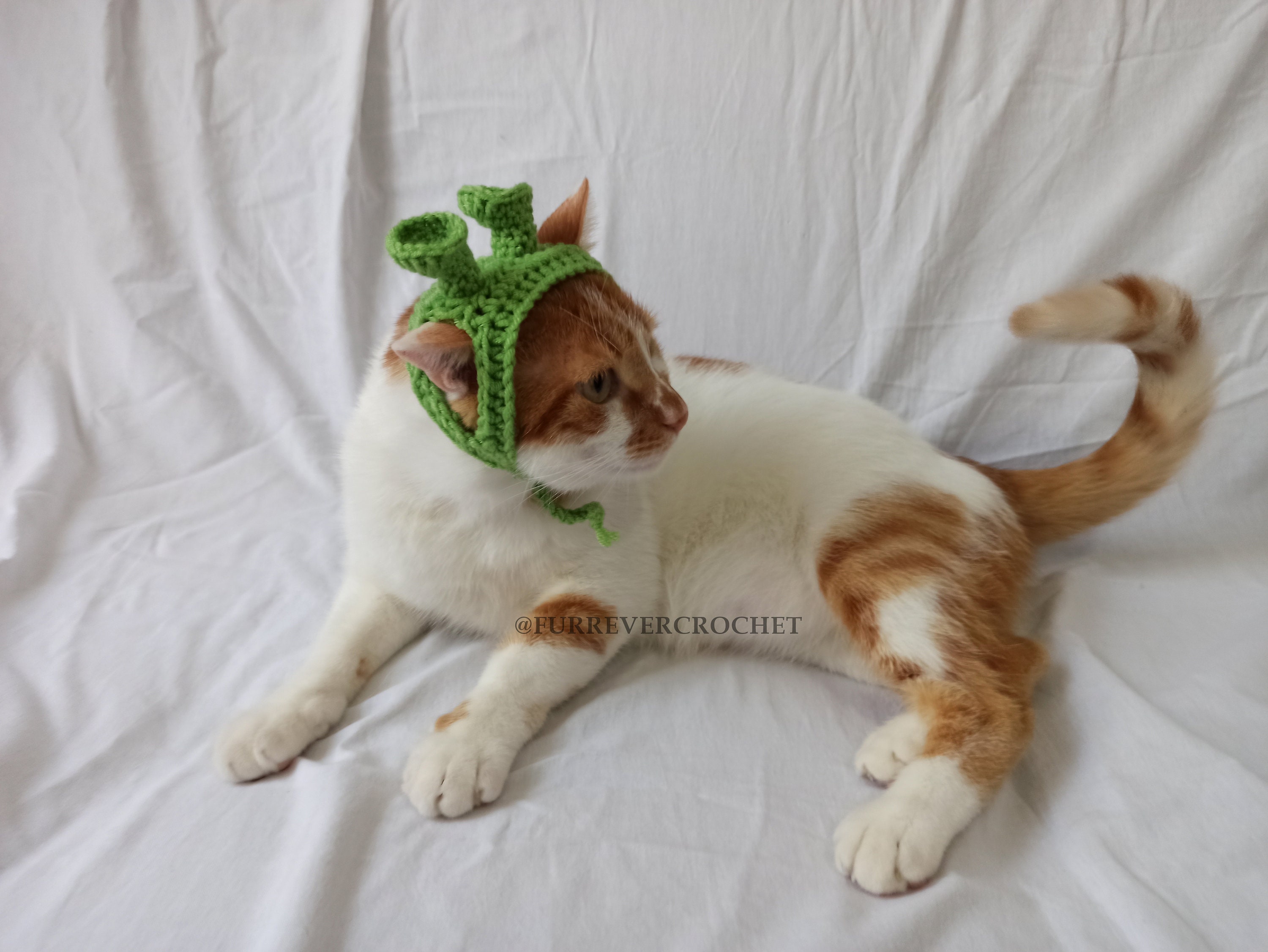 Light Green Shrek Bandana for Cats and Dogs Ogre Hat Funny - Etsy