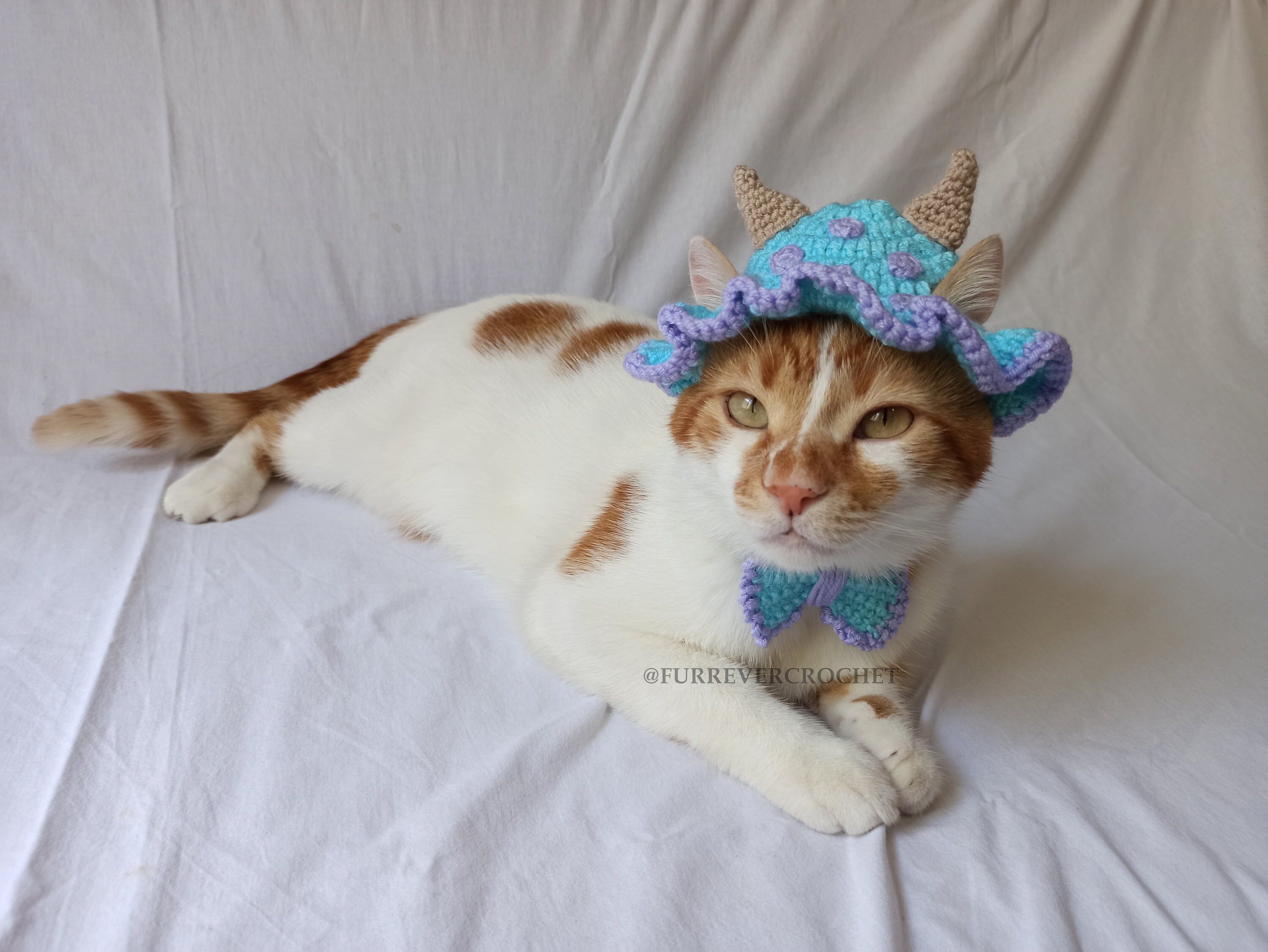 Sully Sullivan Collar, Crochet Pet Accessories for Cats and Dogs, Fun ...