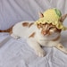 Lemon Cat and Dog Crochet Bucket Hat, With Green Leaf on Top, Cute Pet ...