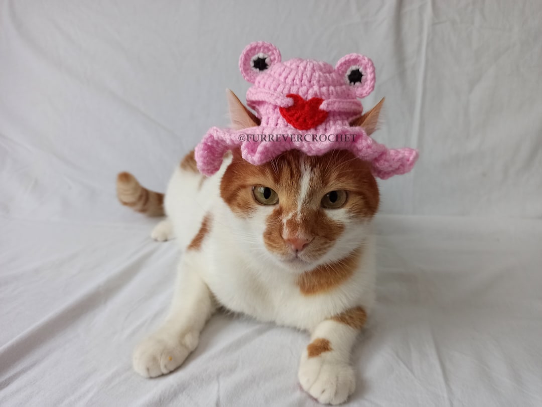 Frog Holding Heart Bucket Hat for Cats and Small Dogs, Cute Valentines ...