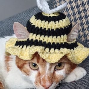 Bee Bucket Hat for Cats and Small Dogs, Cats Lover Gift, Cute Pet ...
