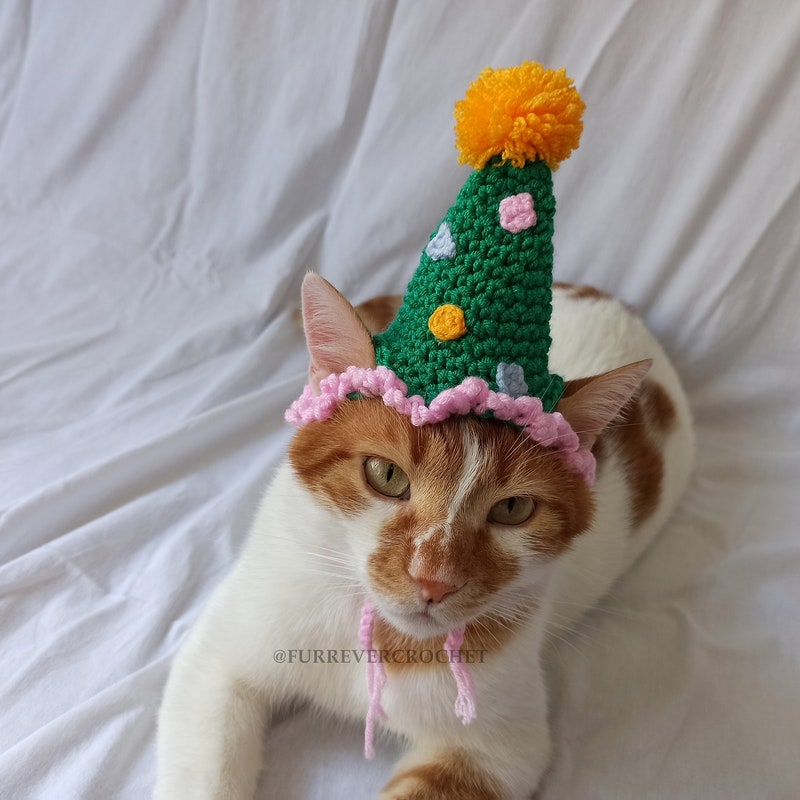 Cat Party Hats - Etsy