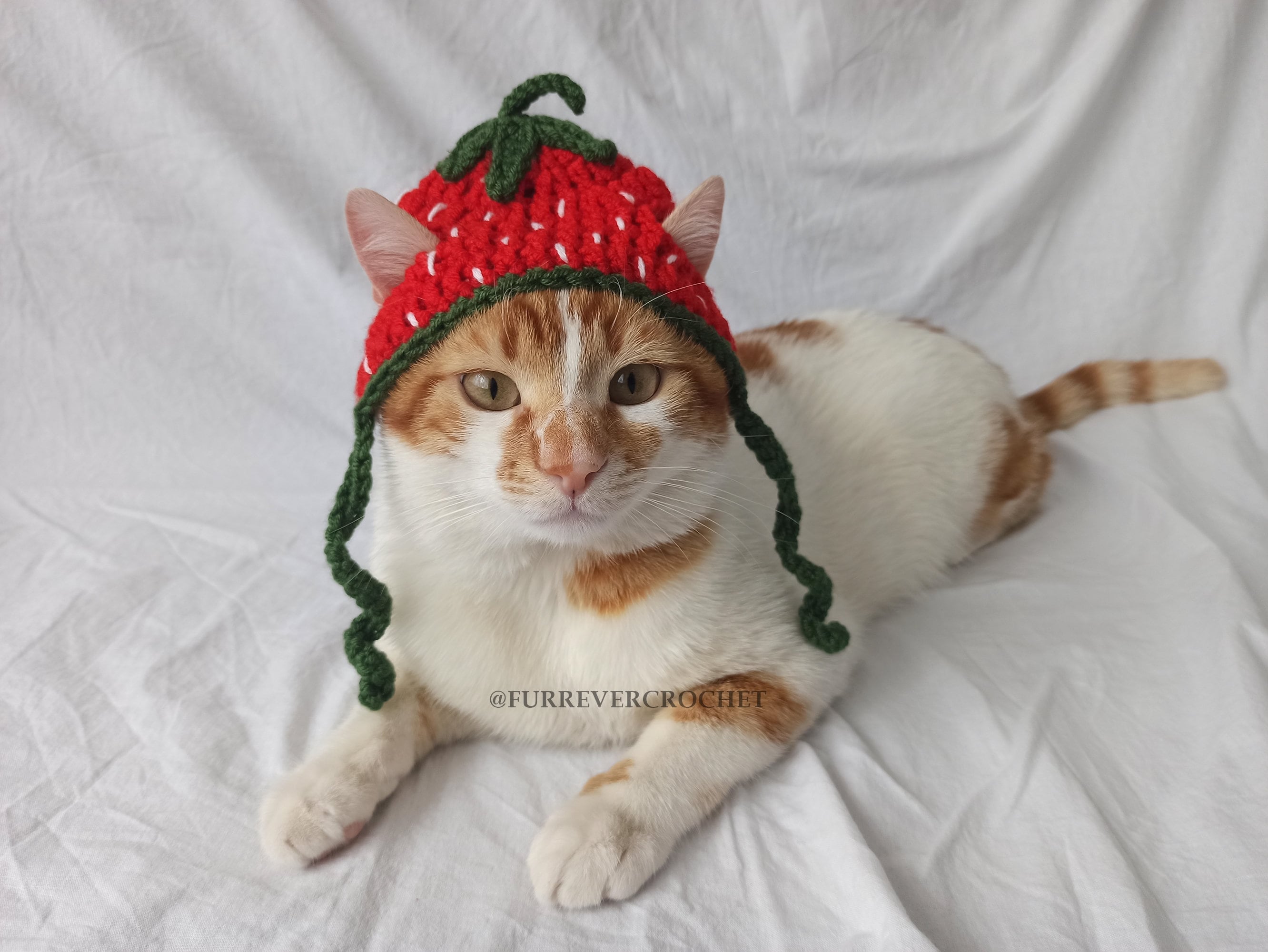 Strawberry Hat for Cats and Dogs, Cute and Fun Pet Beanie Red Color and ...