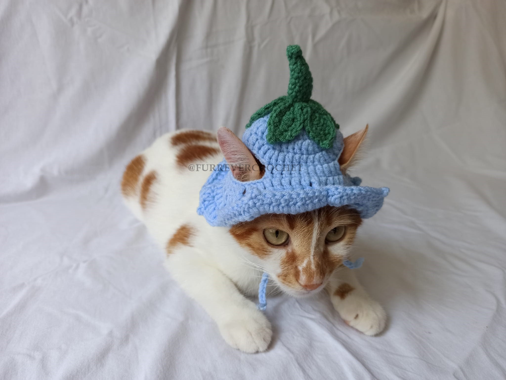 Blue Flower Fairy Bucket Hat for Cats and Small Dogs Crochet - Etsy