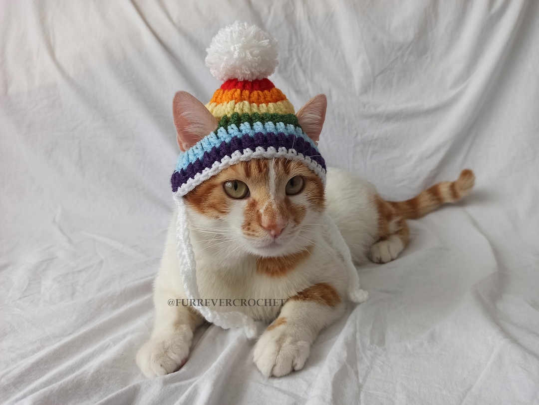 Rainbow Colors Cats and Dogs Hat, Colorful Pet Beanies With Pompom and ...