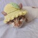 Lemon Cat and Dog Crochet Bucket Hat, With Green Leaf on Top, Cute Pet ...