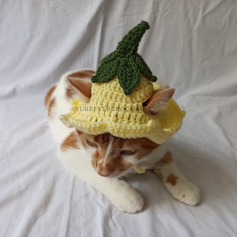 Crochet Fairy Hat - Etsy