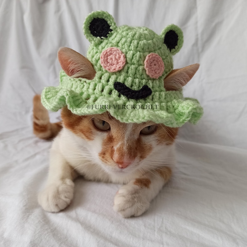 Frog Hats for Dogs - Etsy