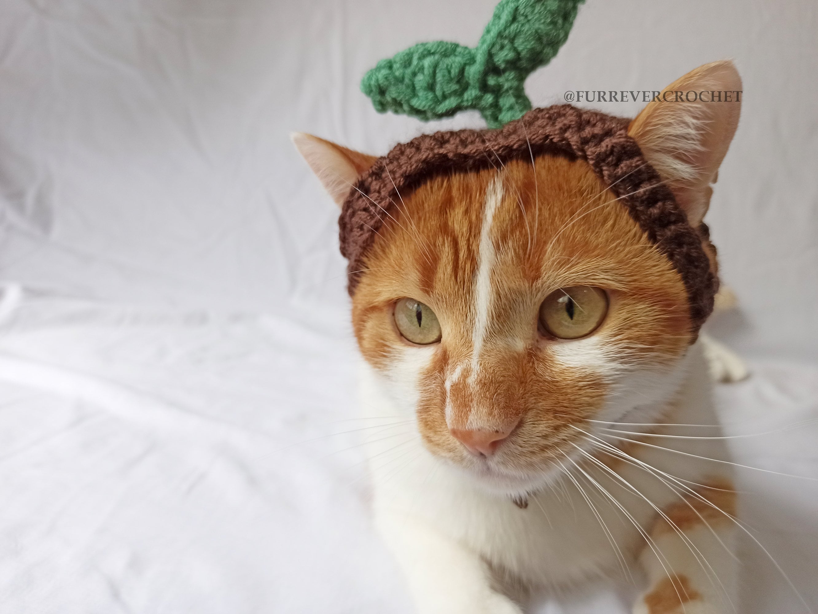 Sprout Bandana for Cats and Dogs, Plant Design Headband, Among Us ...