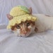 Lemon Cat and Dog Crochet Bucket Hat, With Green Leaf on Top, Cute Pet ...