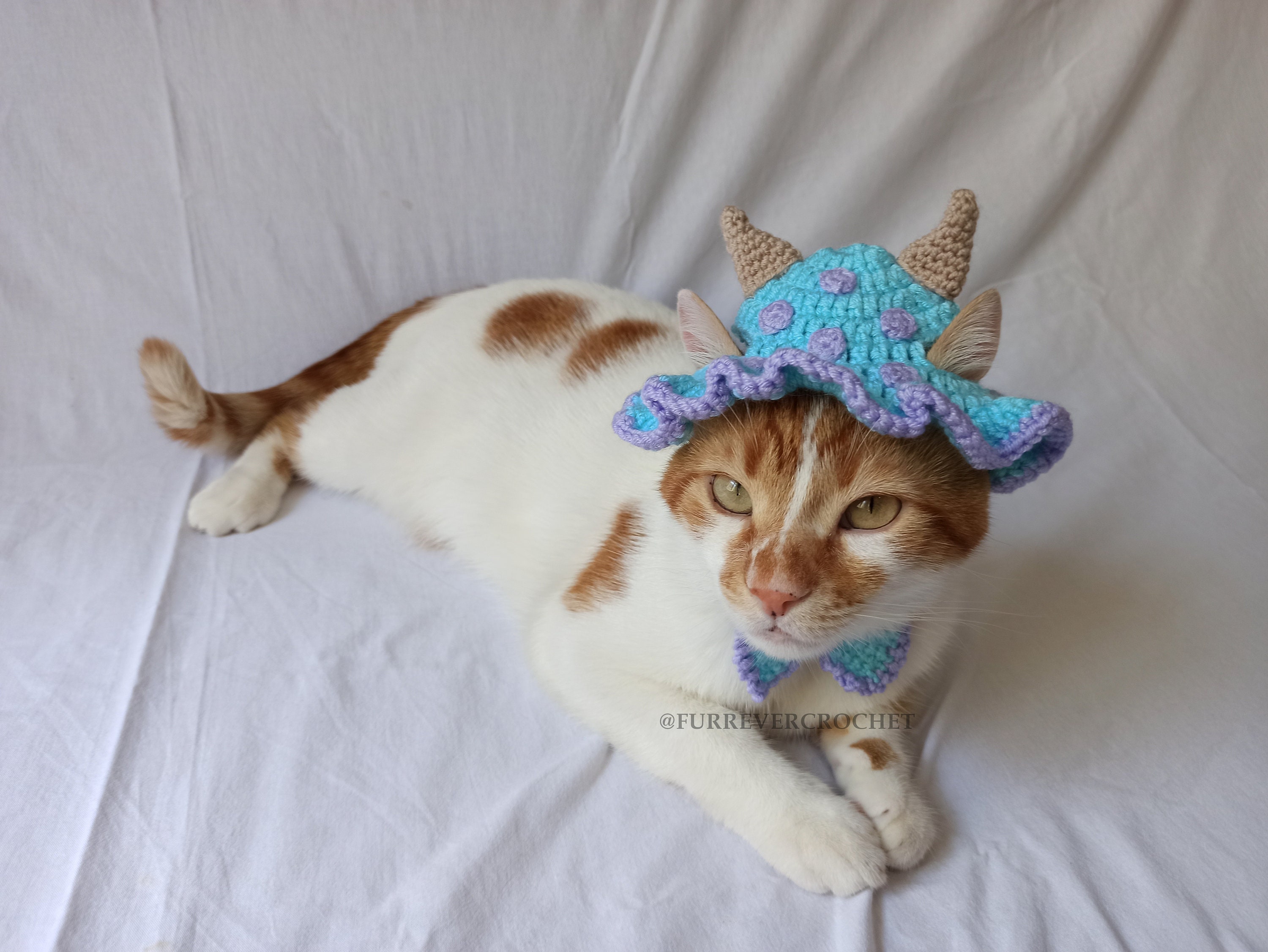 Sully Sullivan Collar, Crochet Pet Accessories for Cats and Dogs, Fun ...