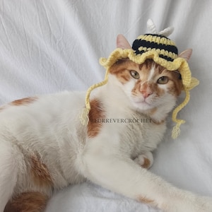 Bee Bucket Hat for Cats and Small Dogs, Cats Lover Gift, Cute Pet ...