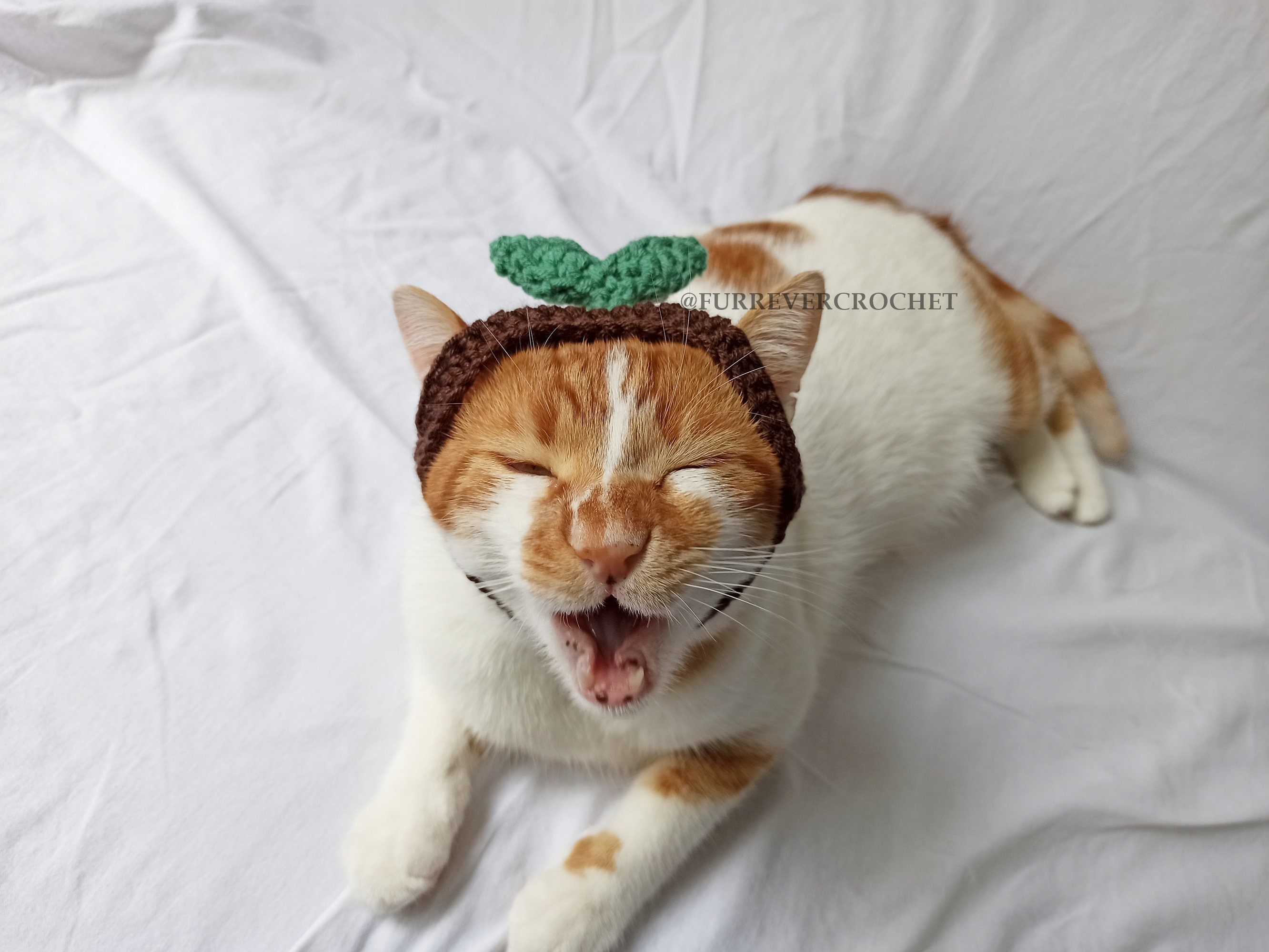Sprout Bandana for Cats and Dogs, Plant Design Headband, Among Us ...