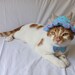 Sully Sullivan Collar, Crochet Pet Accessories for Cats and Dogs, Fun ...