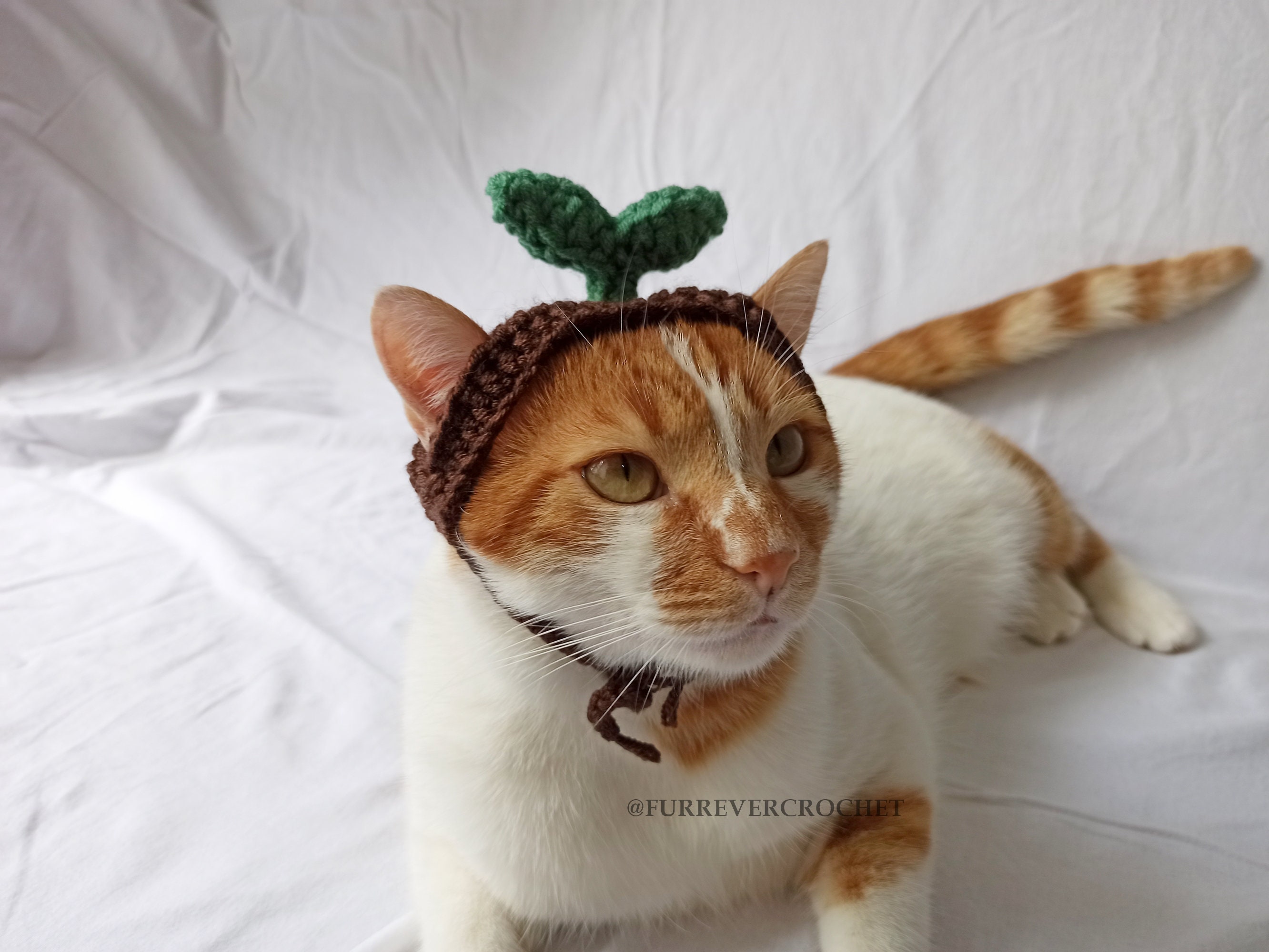 Sprout Bandana for Cats and Dogs, Plant Design Headband, Among Us ...