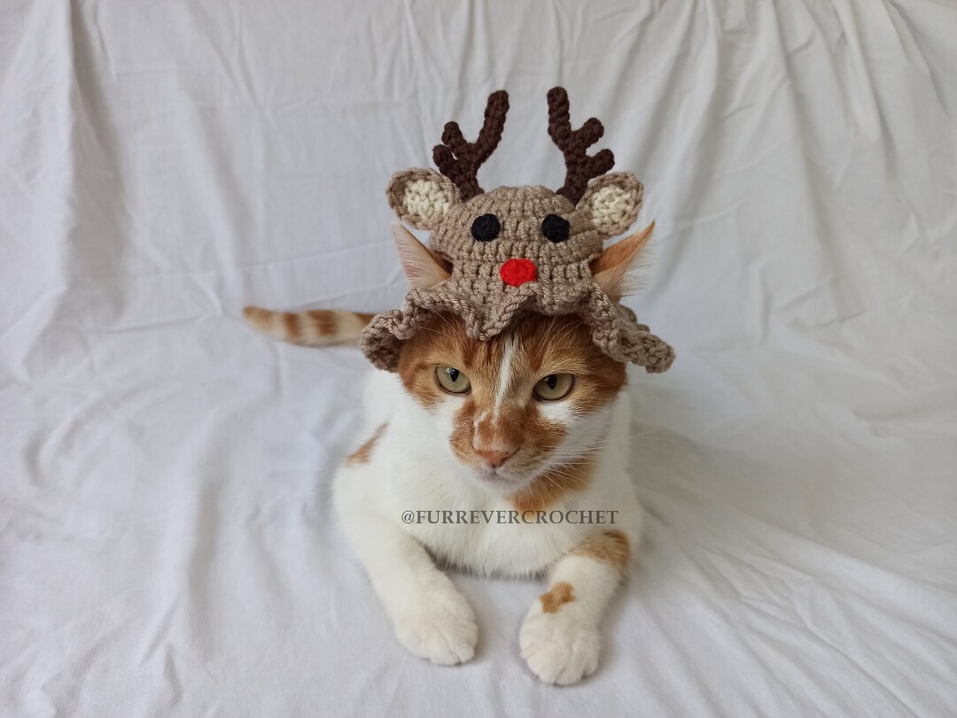 Rudolph the Red Nosed Reindeer Bucket Hat for Cats and Dogs, Christmas ...