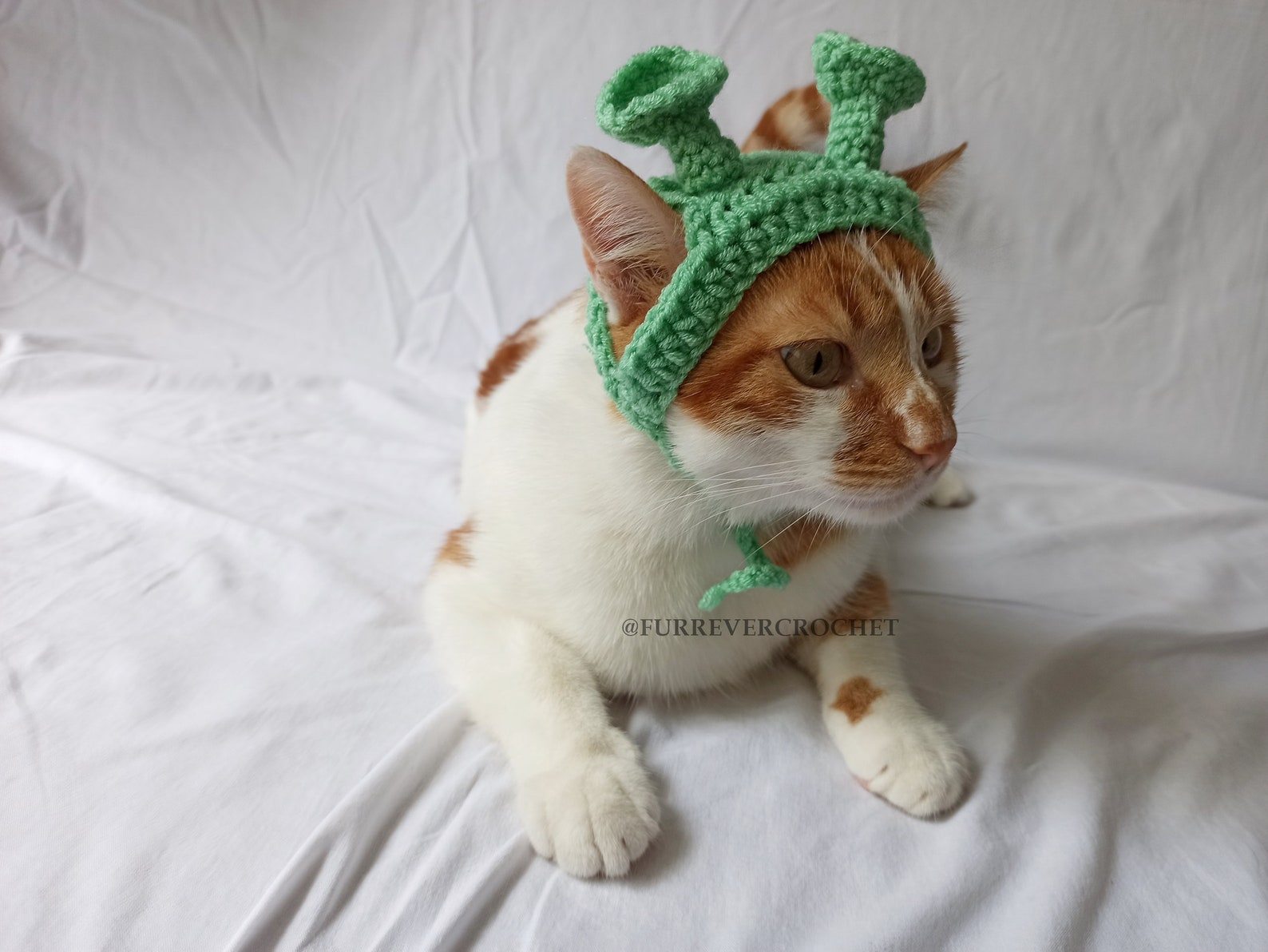 Shrek Inspired Bandana for Cats and Dogs Ogre Hat Green Ears - Etsy