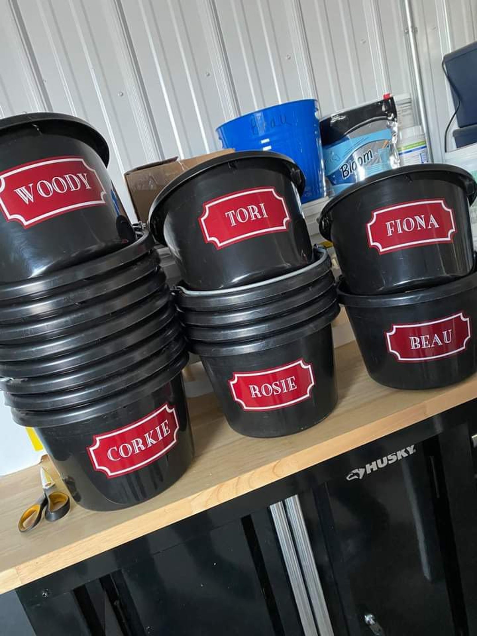 Name Plate Decals Size 4x8 Horse Bucket Labels Vinyl - Etsy